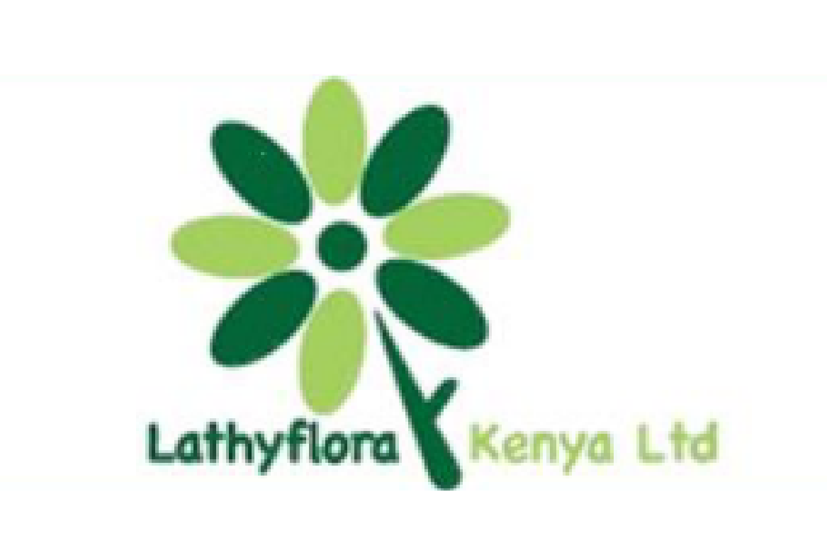 Availability Granvia | Check the availability of Granvia